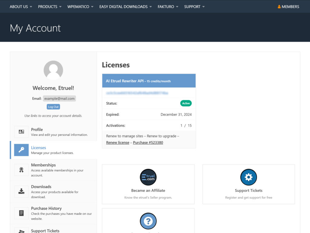 How to set the AI Etruel Rewriter API Key - etruel.com
